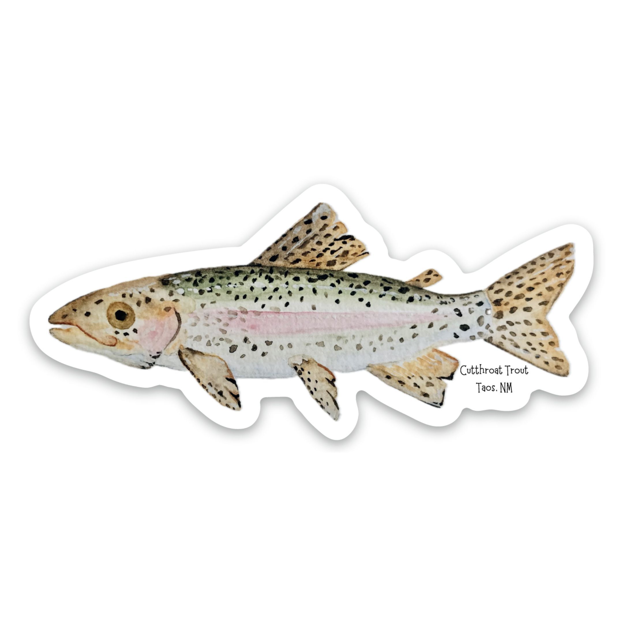 5"x2.27" Cutthroat Trout sticker by Grace Rosenthal | TAOS ART MUSEUM'S ...